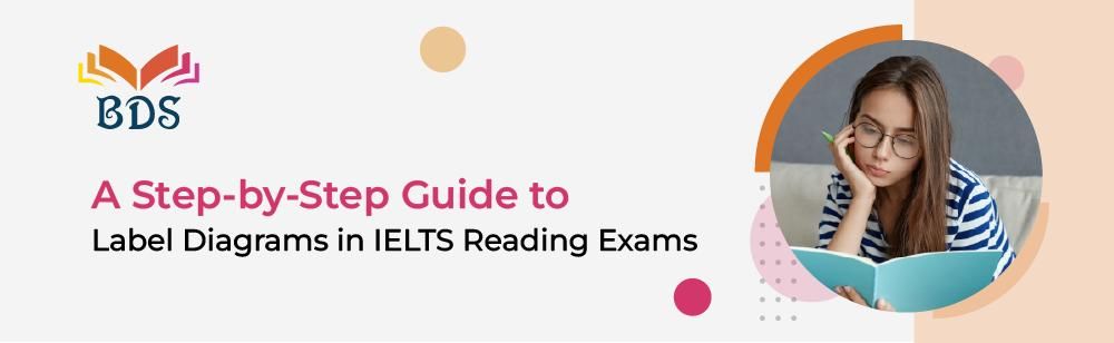 A Step-by-Step Guide to Label Diagrams in IELTS Reading Exams